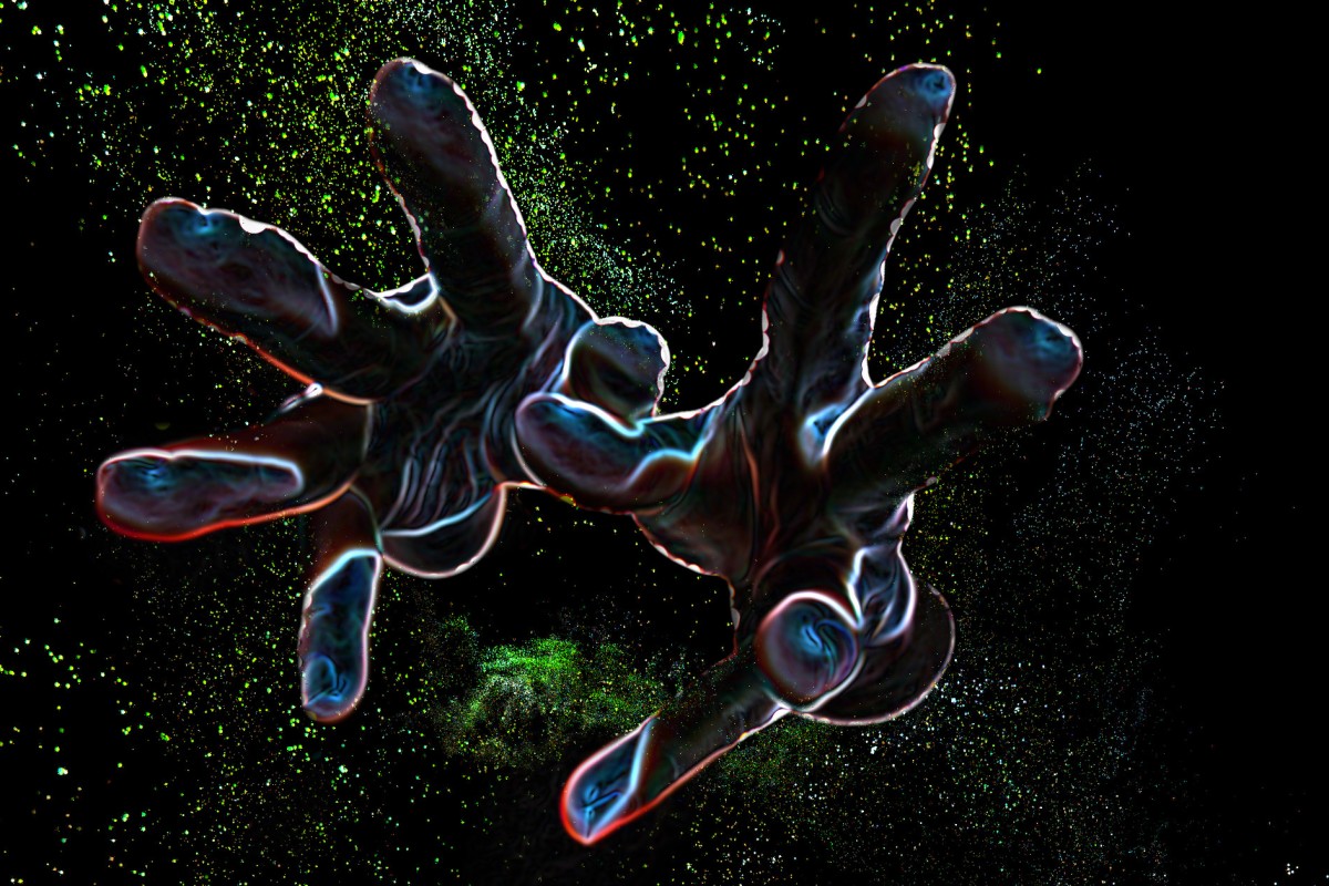 M+ museum of visual culture | South China Morning Post