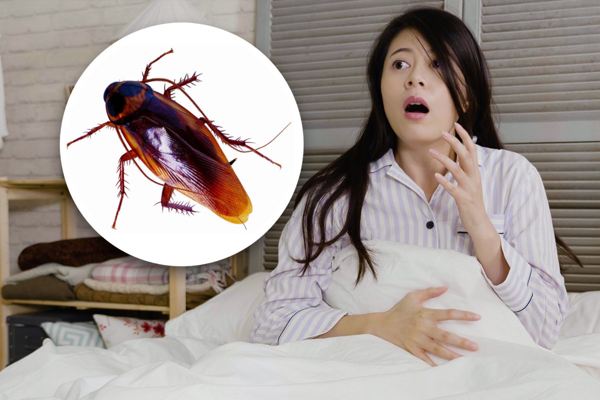 Yating Yang | South China Morning Post