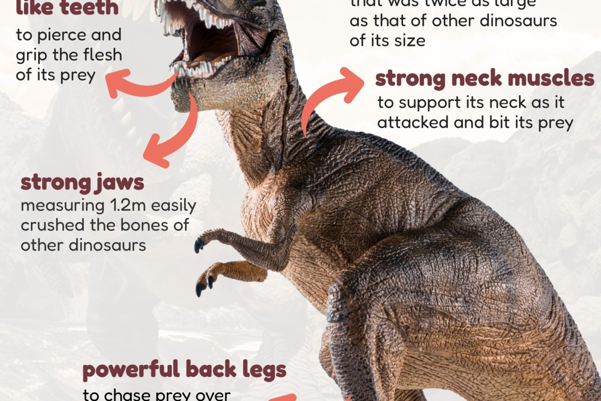 10 Facts About Tyrannosaurus Rex, King of the Dinosaurs