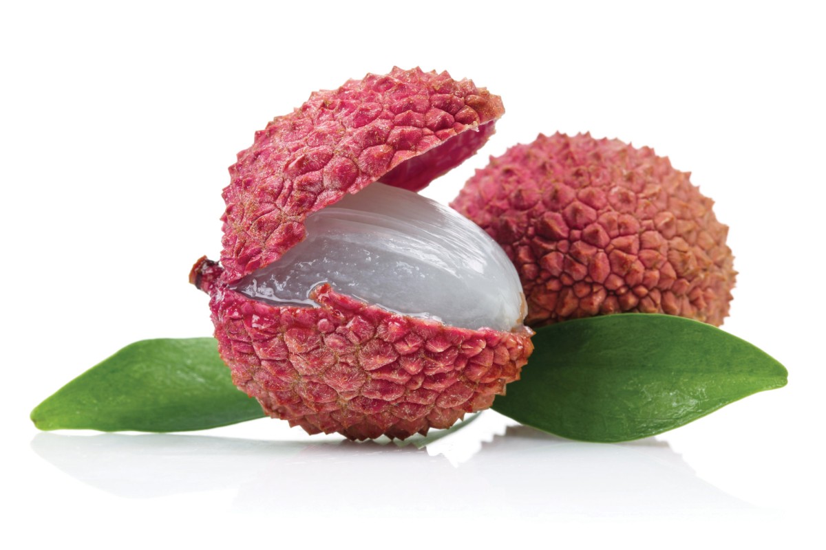 lychee cantonese