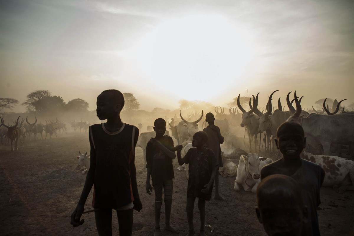 Money, guns and brides fuel South Sudan's cattle wars | South China ...