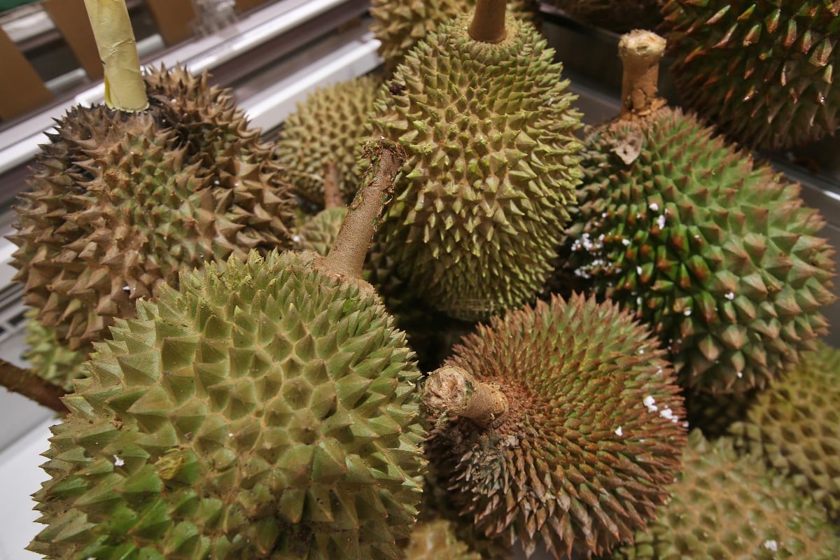 Malaysia’s big durian dreams as it seeks to expand exports to China ...