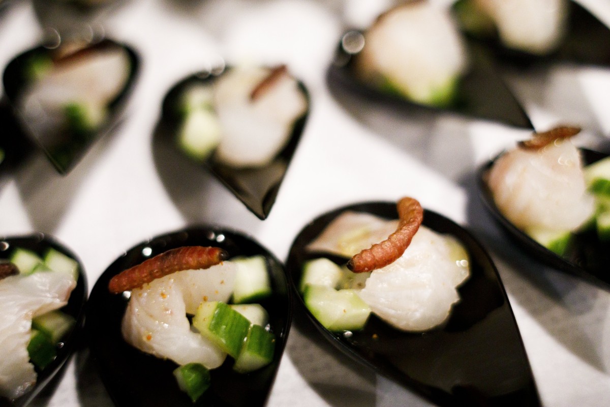 Are edible insects the new sushi? Bug protein market could be worth US ...