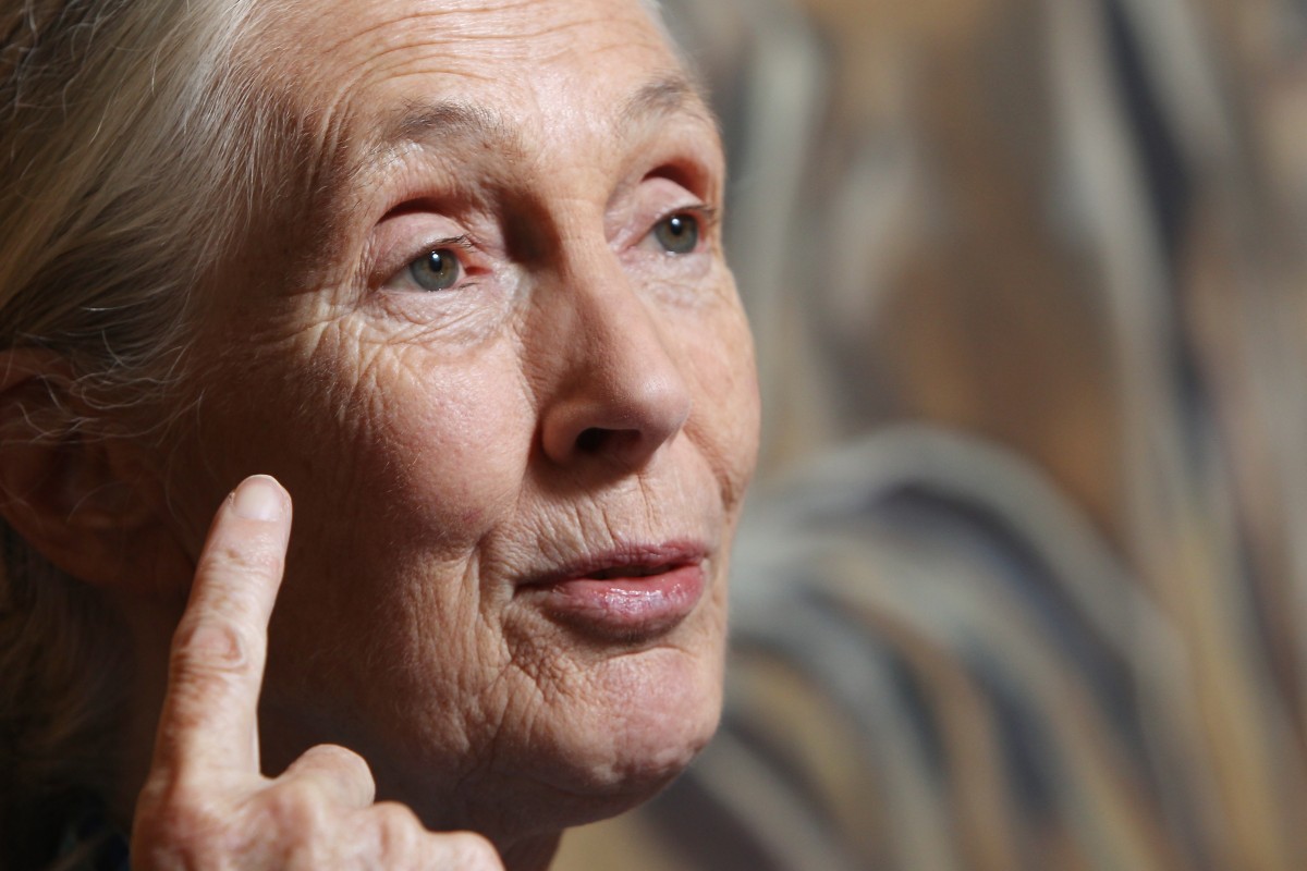 Singapore’s culture of intolerance towards wildlife ‘shocking’, says ...