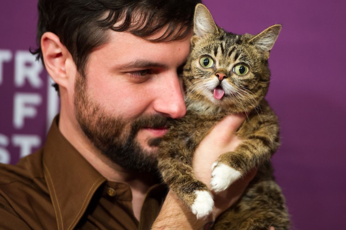 Meet the pets of Instagram: why cats and dogs make great influencers on ...