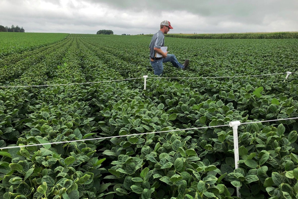 USDA confirms big US soybean sales to China as buying flurry continues ...