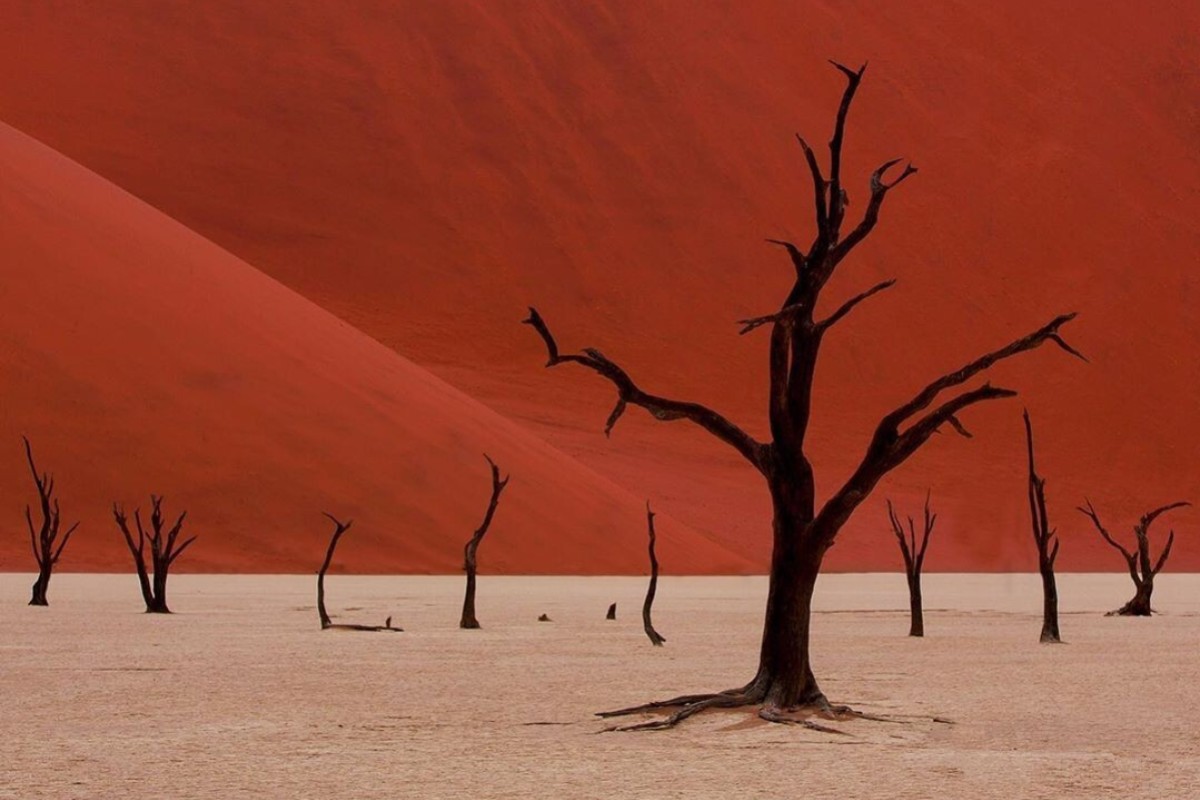 Wine tasting in South Africa, explore voodoo in Benin, Namibia's ghost ...