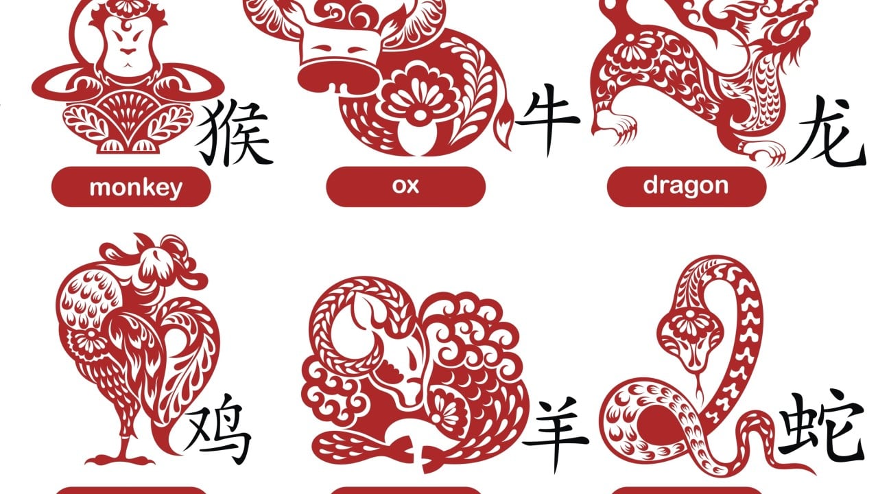 What Chinese animal am I? Characteristics of the Dragon, Snake, Horse, Goat, Monkey, Rooster ...