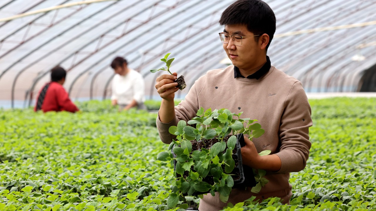 Rooted in resilience: China’s seed push plants agricultural ‘chips ...