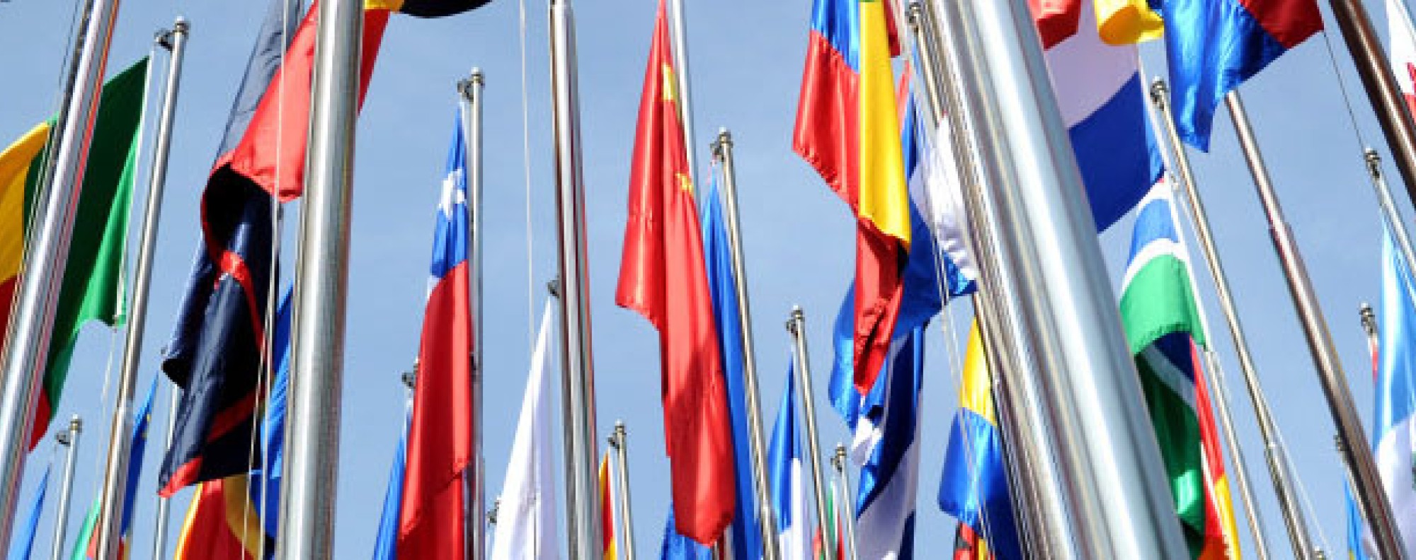 Interpol: Latest News and Updates | South China Morning Post