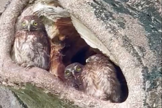 Lars Hamer | South China Morning Post