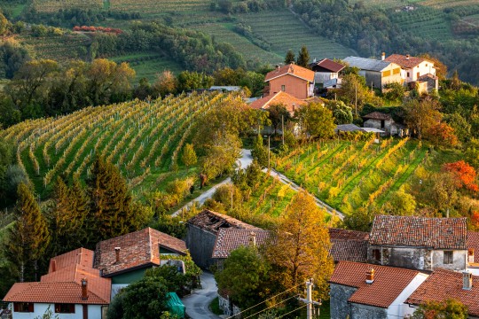 Tim Pile | South China Morning Post