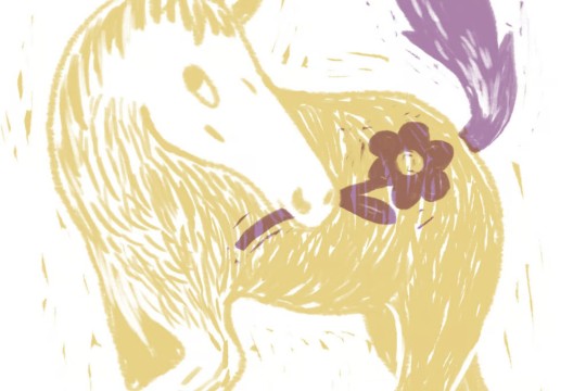What is a water horse chinese zodiac 60 photos - Youhoroscope.com