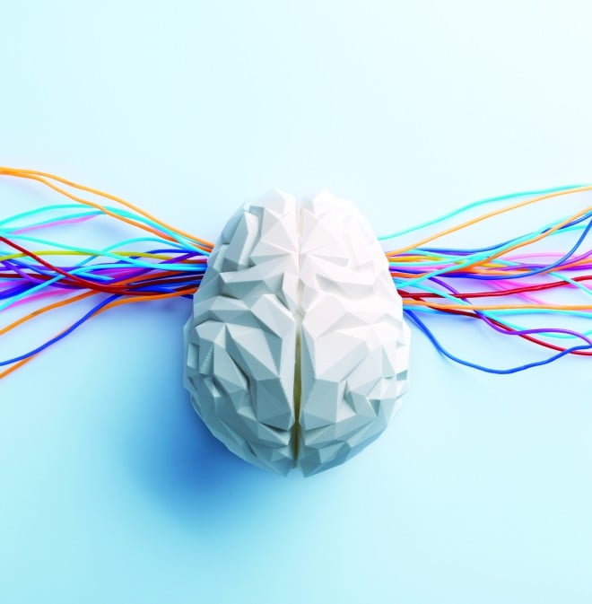 Unveiling the Mystery of the Human Brain for AI Advancements | South ...