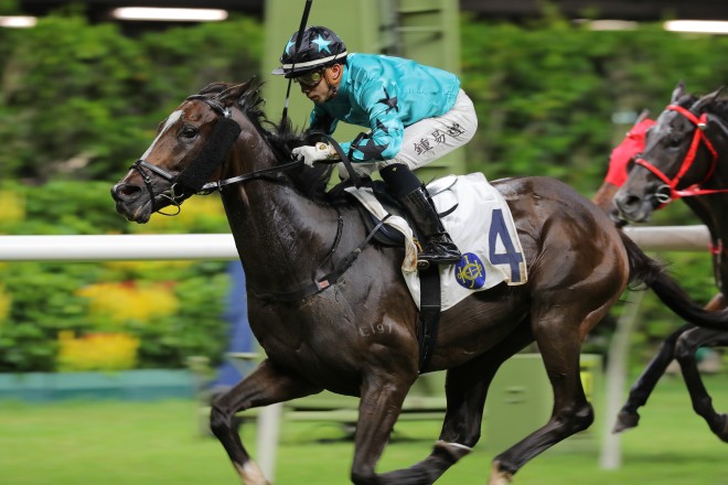 HKJC apprentice Angus Chung finds success through perseverance and ...