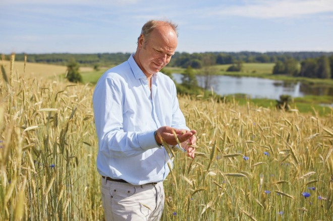 HiPP, world's No. 1 organic baby food brand, expands market presence in ...