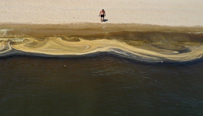 Red tide in Hong Kong | South China Morning Post
