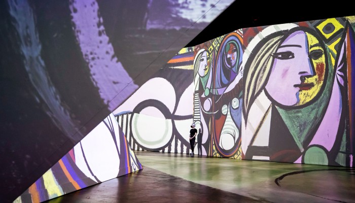 Imagine Picasso Immersive Exhibition Brings Works To Life South China