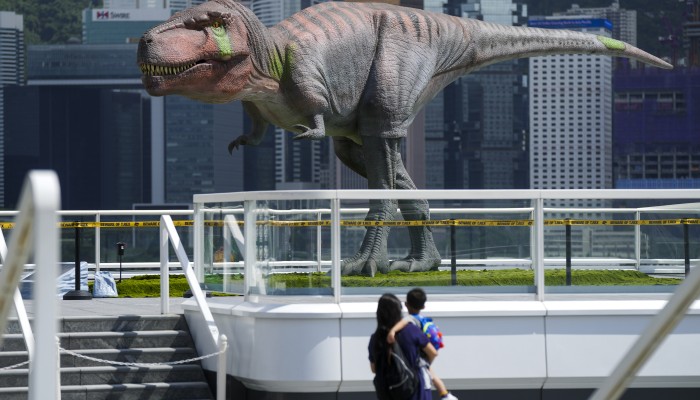 Viewpoint: through the lenses of SCMP photographers | South China ...