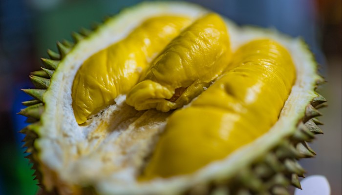 durian smells like