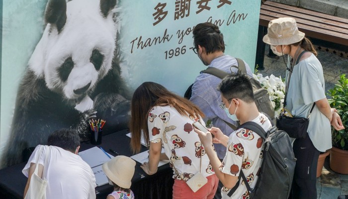 Goodbye, An An: Hong Kong’s beloved giant panda in memories | South ...