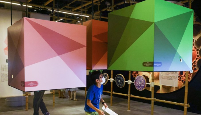 ‘Material Tales ─ The Life of Things’: special exhibition at Hong Kong ...