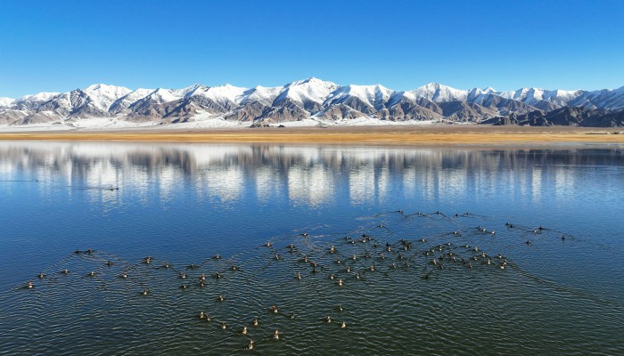 Rare animals find refuge in China’s Altun Mountains National Nature ...