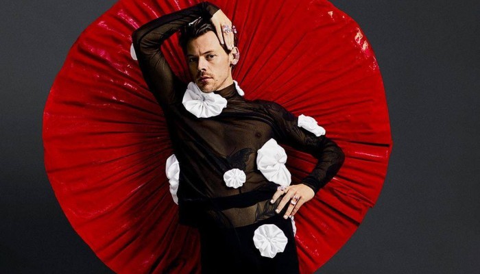 draconic harry styles