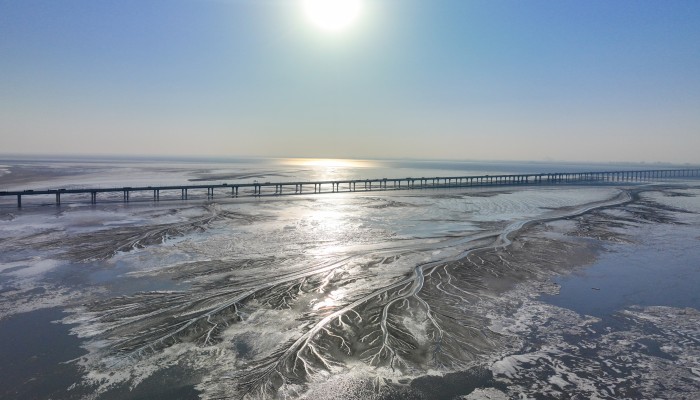 Breathtaking ‘tidal tree’ patterns emerge on frozen Qiantang River and ...