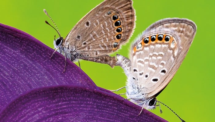 Hong Kong photographer’s new photo book showcases extraordinary beauty ...