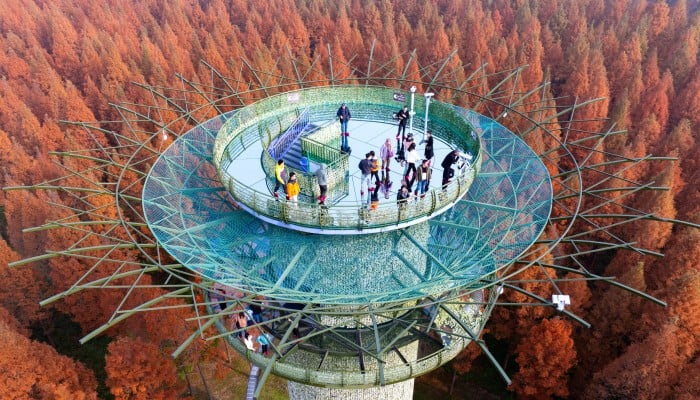 In pictures: the colour of fall in China | South China Morning Post