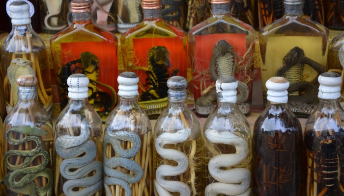 snake wine uk