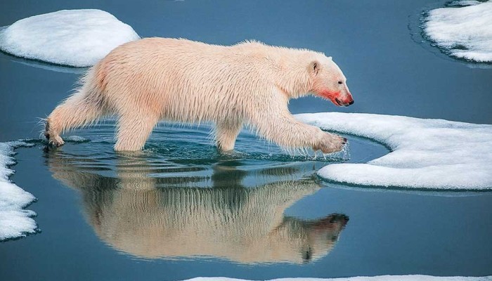 Award-winning AGORA photos | South China Morning Post