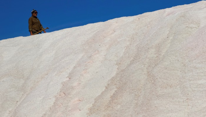 In the pink: harvesting a rare form of salt in Crimea | South China ...