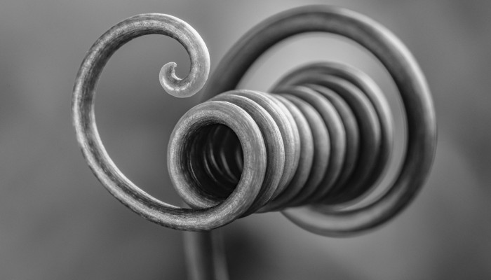 Macro art: winners of 2020 International Garden Photographer of the ...