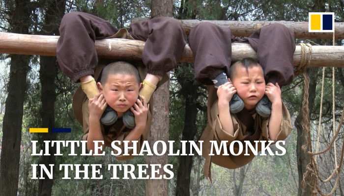 Young Chinese Shaolin monks display amazing feats of flexibility ...
