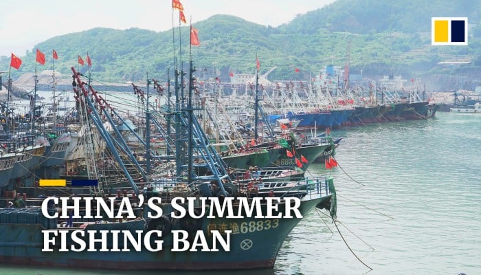 China starts summer-long annual fishing ban in coastal waters | South ...