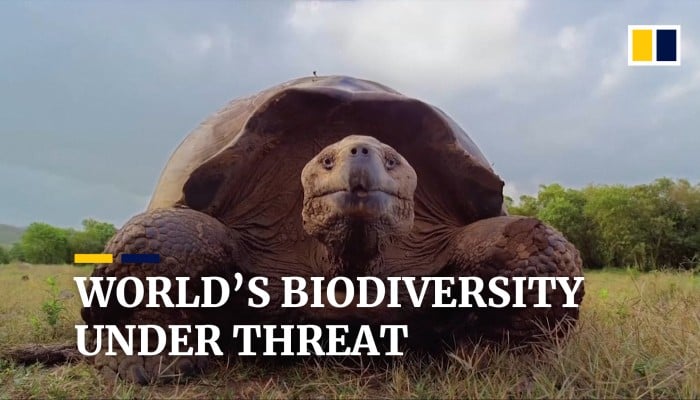 One million plants and animals on brink of extinction, threatening ...