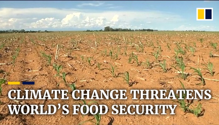 Climate change threatens the global food supply, UN warns | South China ...