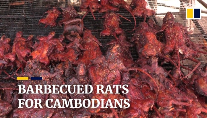 Barbecued rats on the menu for Cambodians | South China Morning Post