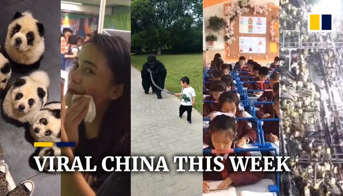 Viral China this week: how pupils write with good posture, and more ...