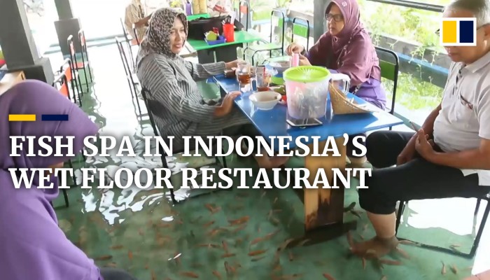 Fish pedicures in Indonesia’s wet floor restaurant | South China ...