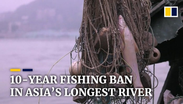 China imposes a 10-year fishing ban for Yangtze River to protect marine ...