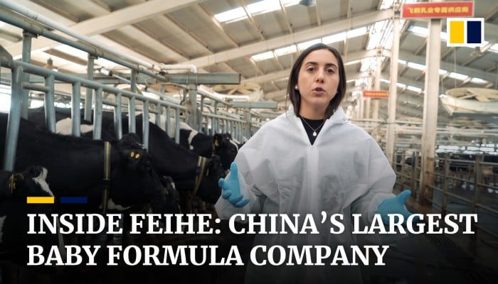 How Feihe survived the 2008 tainted milk scandal and became China's ...