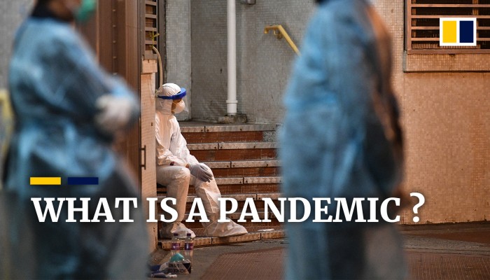 Why the WHO isn't labelling Covid-19 a pandemic and how the world coped ...