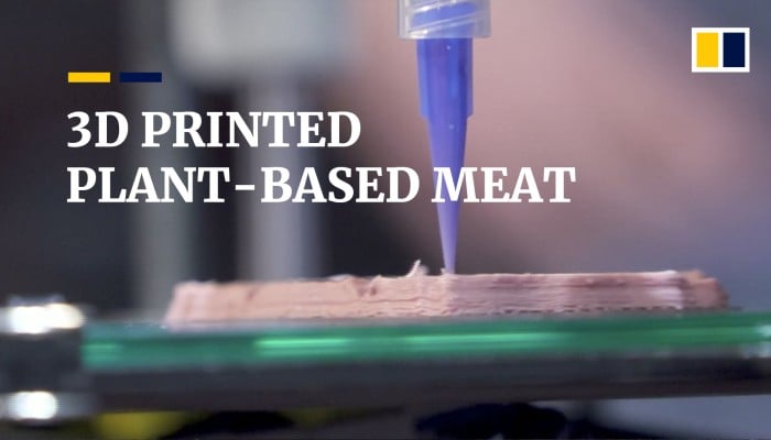 3D printouts of plant-based meat could become alternative food for ...