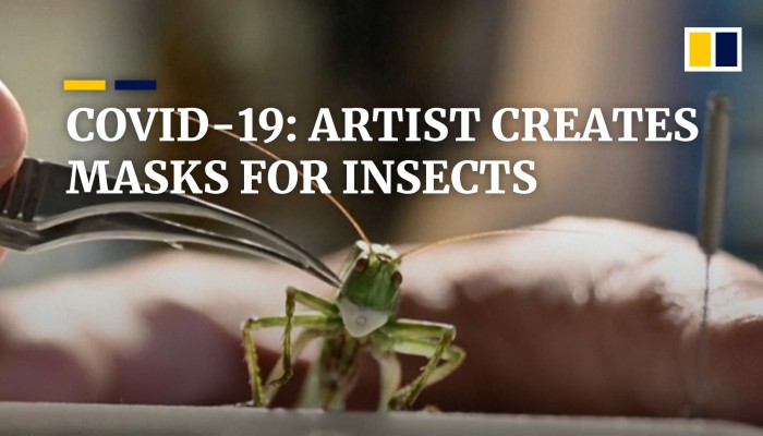 Russian artist creates masks to ‘protect’ insects from coronavirus ...