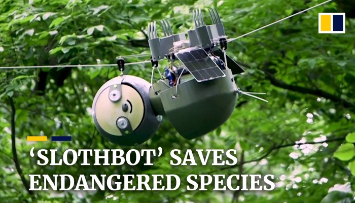 ‘Slothbot’ saves endangered species by moving slowly to see the big ...