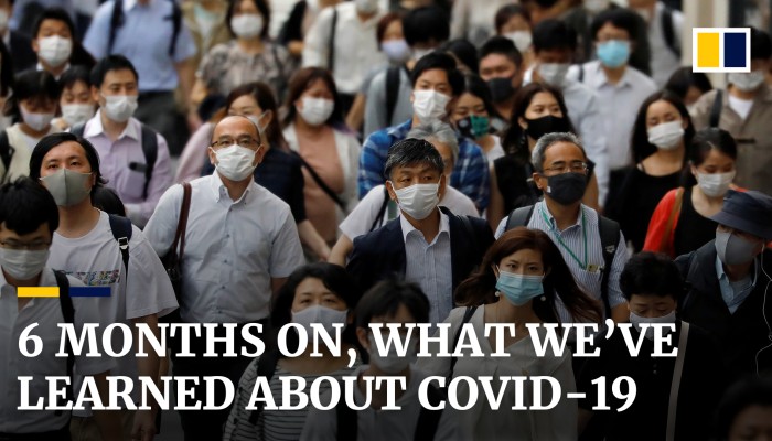 Six months after WHO declared Covid-19 a public health emergency, what ...