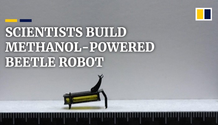 Scientists build methanol-powered beetle robot | South China Morning Post
